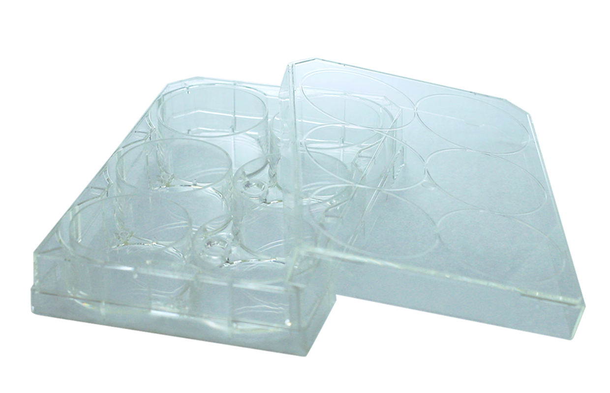 Produk | Multi Weel Plate, For Tissue Culture, Treated with Cover | PT ...